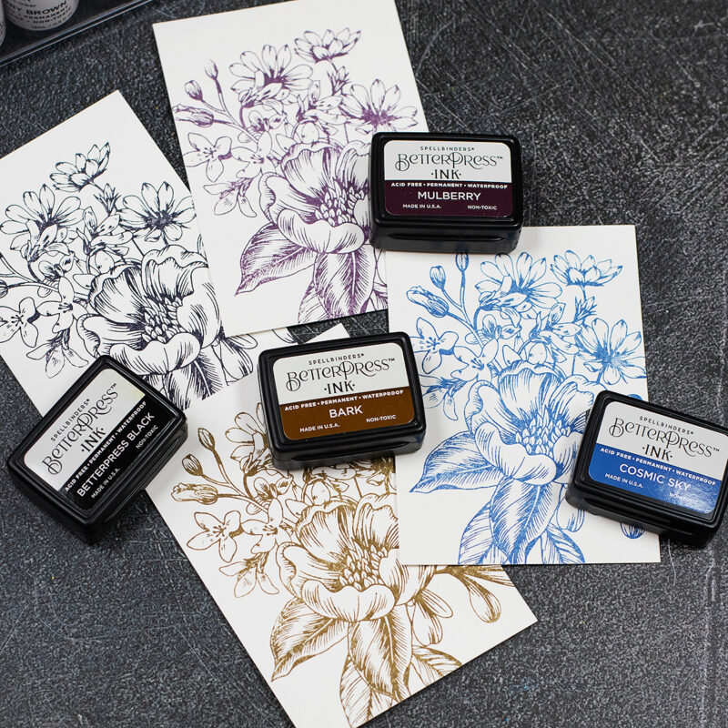 New Betterpress All You Need To Know - Bibi Cameron