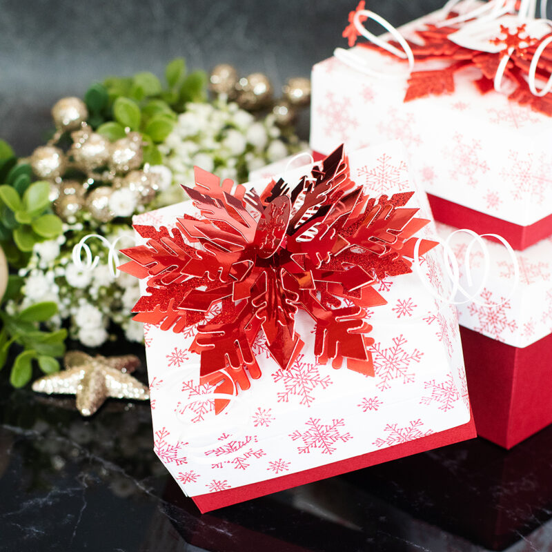 Spellbinders Pop-Up Snowflake All You Need To Know - Bibi Cameron